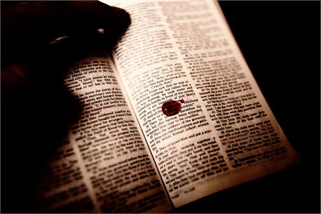Death by a Thousand Paper Cuts | Worldview of Jesus